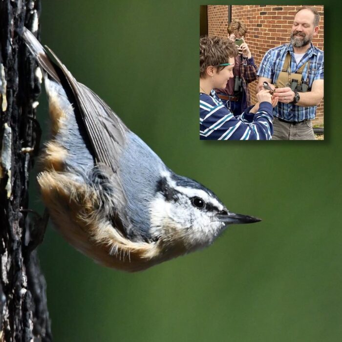 Core Curriculum - Hollins University