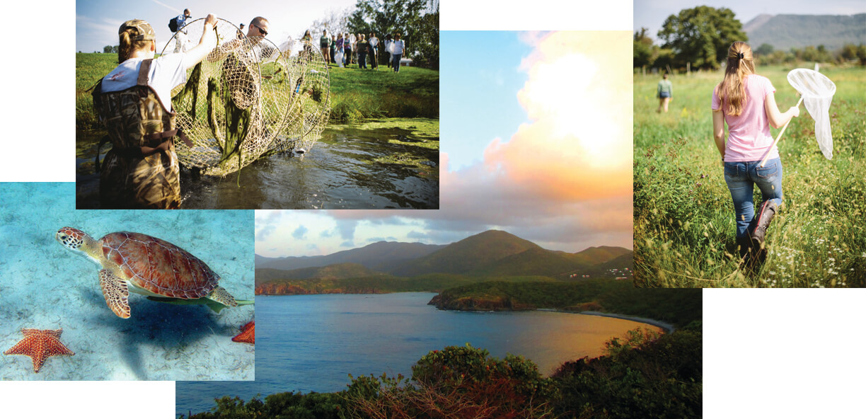 Environmental Studies / Environmental Science - Hollins University