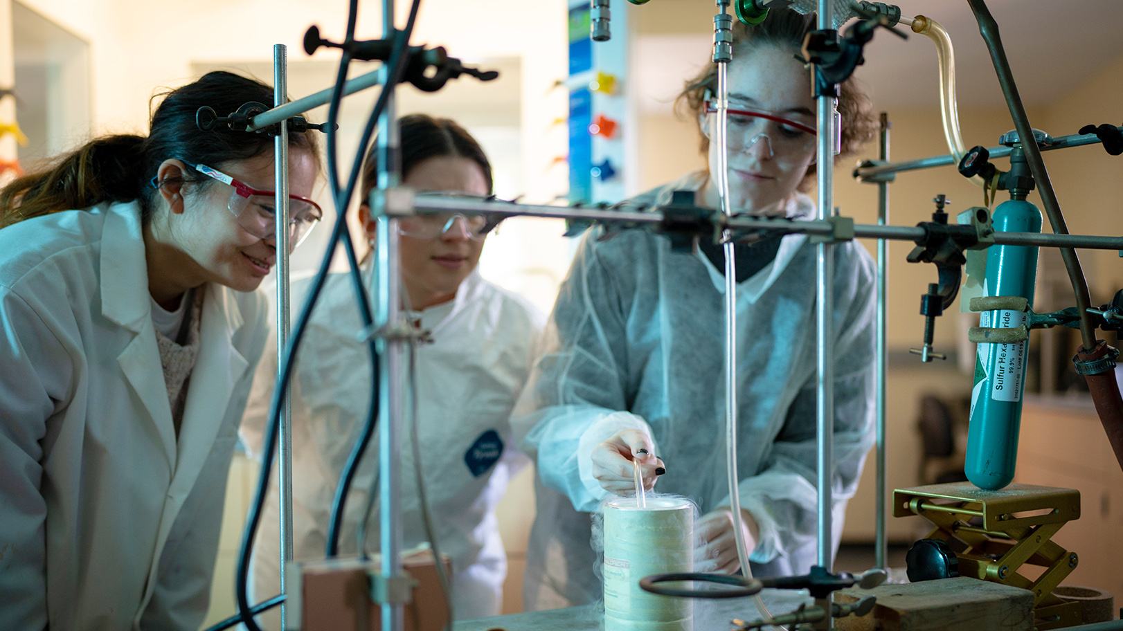 Preprofessional Studies - Hollins University